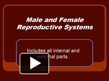 PPT – Male and Female Reproductive Systems PowerPoint presentation ...