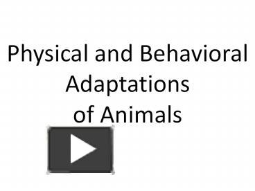 Physical and Behavioral Adaptations of Animals presentation | free to ...