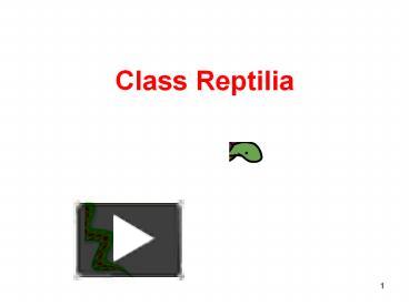 Class Reptilia presentation | free to download