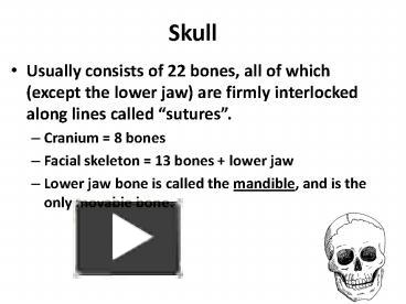 Skull presentation | free to download