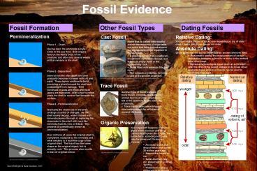 Fossil Evidence presentation | free to download