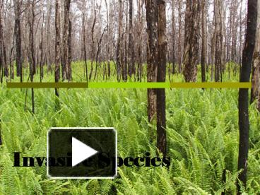 PPT – Invasive Species PowerPoint presentation | free to view - id ...