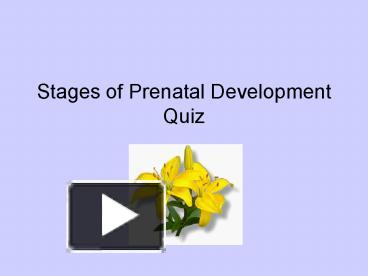 Stages of Prenatal Development Quiz presentation | free to download
