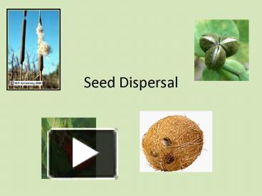 Seed Dispersal presentation | free to view
