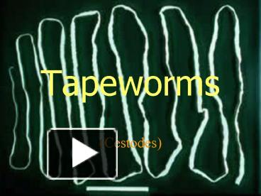PPT – Tapeworms PowerPoint presentation | free to view - id: 4540db-NTc2N