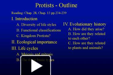 PPT – Protists Outline PowerPoint presentation | free to view - id ...