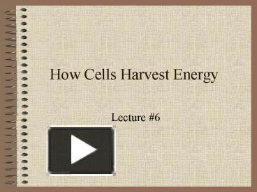 PPT – How Cells Harvest Energy PowerPoint presentation | free to view ...
