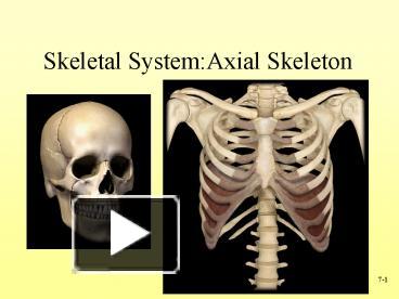 Skeletal System:Axial Skeleton presentation | free to view