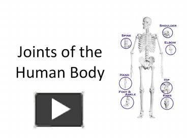 Joints of the Human Body presentation | free to view