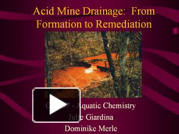 Acid Mine Drainage: From Formation to Remediation presentation | free ...