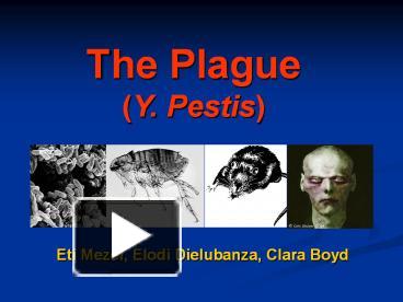 The Plague presentation | free to download
