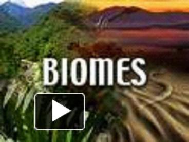 PPT – Introduction to Biomes PowerPoint presentation | free to view ...