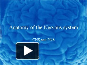 Anatomy of the Nervous system presentation | free to view