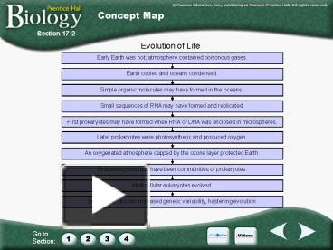 PPT – Prentice Hall Biology PowerPoint presentation | free to view - id ...