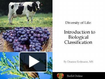 PPT – Diversity of Life: Introduction to Biological Classification ...