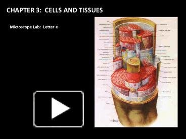 CHAPTER 3: CELLS AND TISSUES presentation | free to view