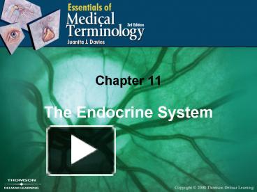 PPT – The Endocrine System PowerPoint presentation | free to view - id ...