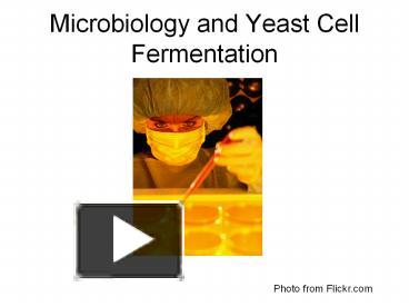 Microbiology and Yeast Cell Fermentation presentation | free to download