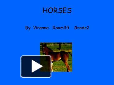 PPT – HORSES PowerPoint presentation | free to view - id: 479aa-ZDc1Z