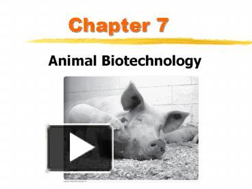 Animal Biotechnology presentation | free to download