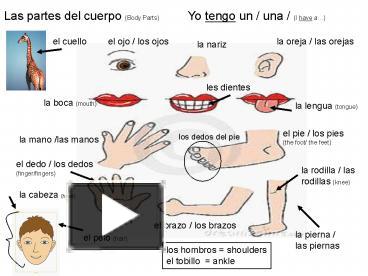 Las partes del cuerpo (Body Parts) Yo tengo un / una / (I have a ...