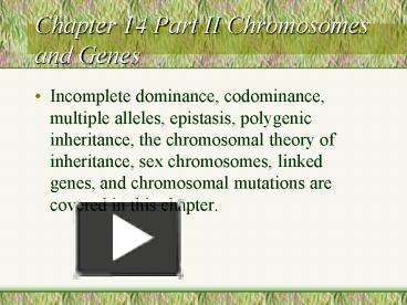 PPT – Chapter 14 Part II Chromosomes and Genes PowerPoint presentation ...