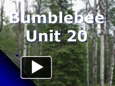PPT – Bumblebee Unit 20 PowerPoint presentation | free to view - id ...