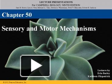 Sensory and Motor Mechanisms presentation | free to view