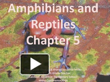 PPT – Amphibians and Reptiles Chapter 5 Powerpoint created PowerPoint ...