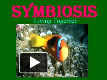 Symbiosis presentation | free to download