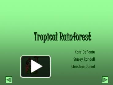 PPT – Tropical Rainforest PowerPoint presentation | free to download ...