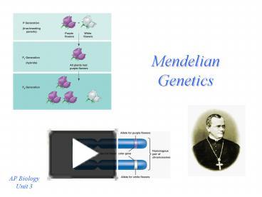 PPT – Mendelian Genetics PowerPoint presentation | free to view - id ...