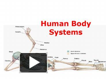 Human Body Systems presentation | free to download