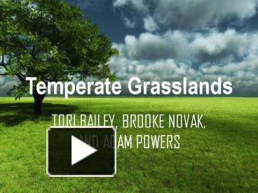 Temperate Grasslands presentation | free to view