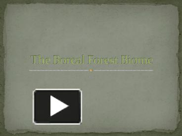PPT – The Boreal Forest Biome PowerPoint presentation | free to view ...