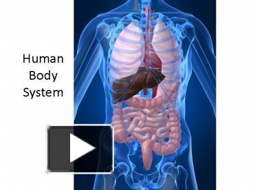Human Body System presentation | free to download