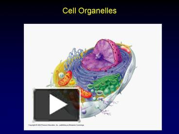 PPT – Cell Organelles PowerPoint presentation | free to view - id ...