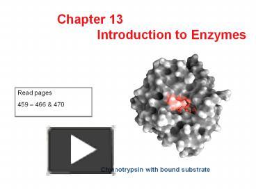 Introduction to Enzymes presentation | free to download