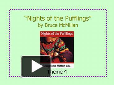 Nights of the Pufflings by Bruce McMillan presentation | free to view