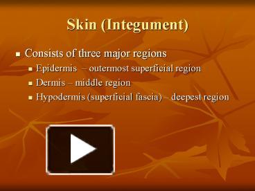 Skin (Integument) presentation | free to view