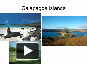 Galapagos Islands presentation | free to download
