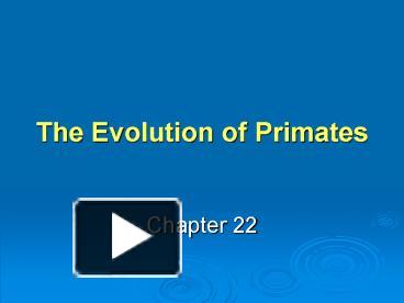 The Evolution of Primates presentation | free to view