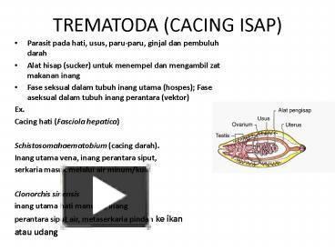 TREMATODA (CACING ISAP) presentation | free to view