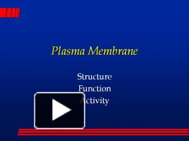 Plasma Membrane presentation | free to download