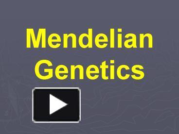 Mendelian Genetics presentation | free to view