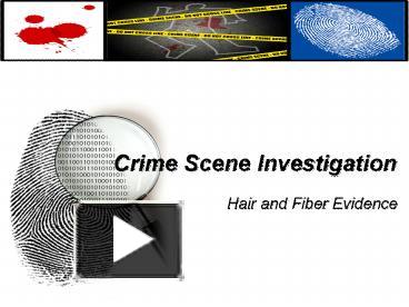 PPT – Crime Scene Investigation PowerPoint presentation | free to ...