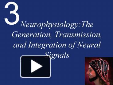 PPT – Neurophysiology:The Generation, Transmission, and Integration of ...