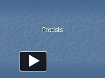 PPT – Protists PowerPoint presentation | free to view - id: 4f4a2f-NzQ0M
