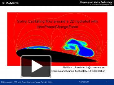 Solve Cavitating flow around a 2D hydrofoil with presentation | free to download
