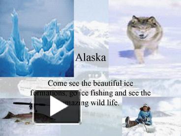 PPT – Alaska PowerPoint presentation | free to view - id: 4f963-ZDc1Z
